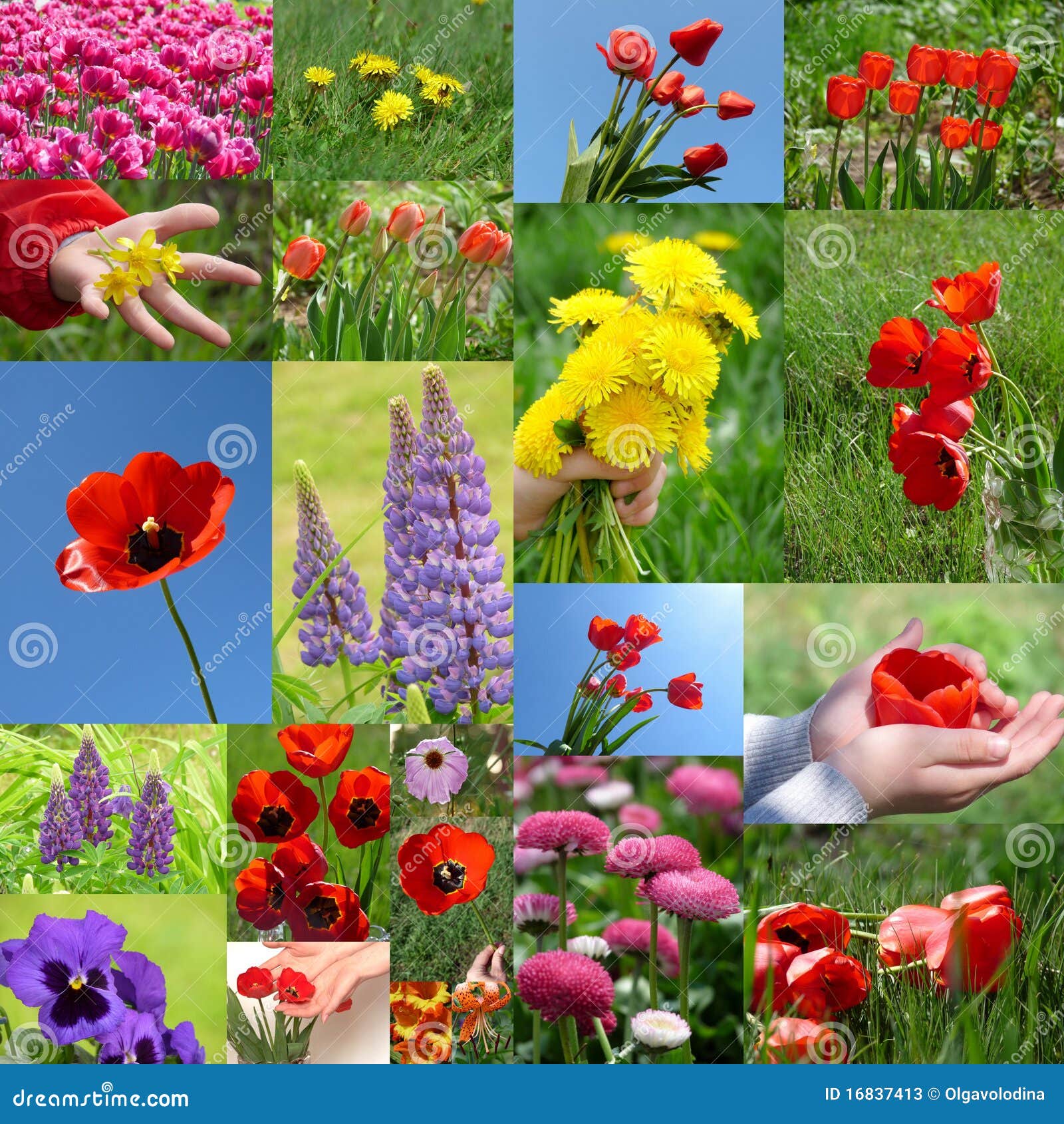 Flores, collage imagen de archivo. Imagen de flores, brillante - 16837413