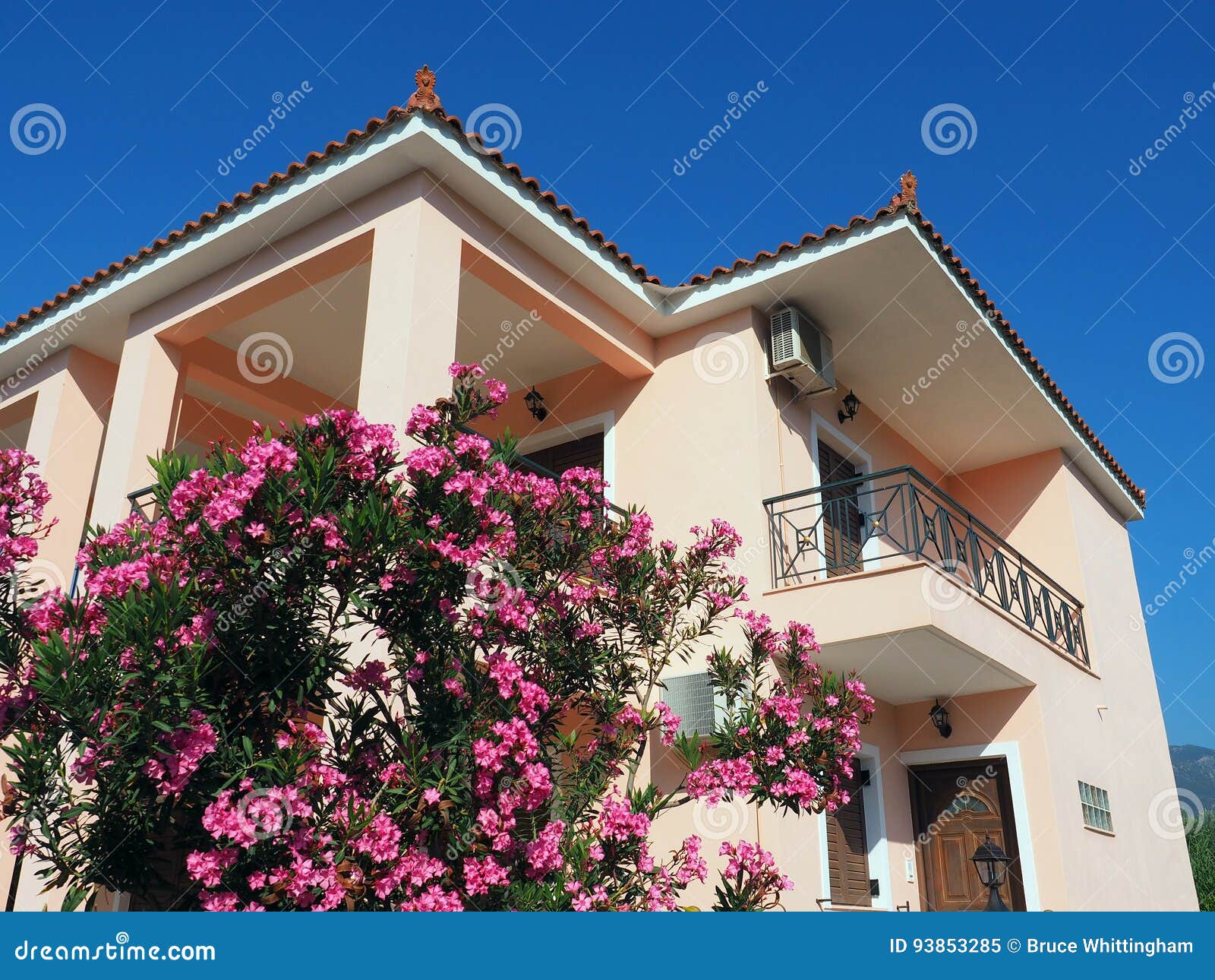 Flores Cor-de-rosa E Uma Casa Cor-de-rosa Imagem de Stock - Imagem de ...