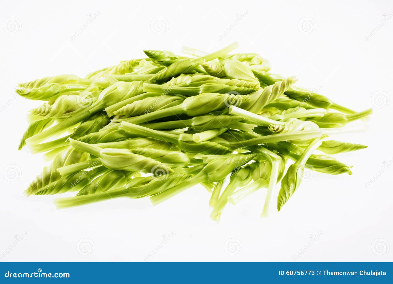 Flores Da Lua, Vegetais, Erva Imagem de Stock - Imagem de brilhante ...