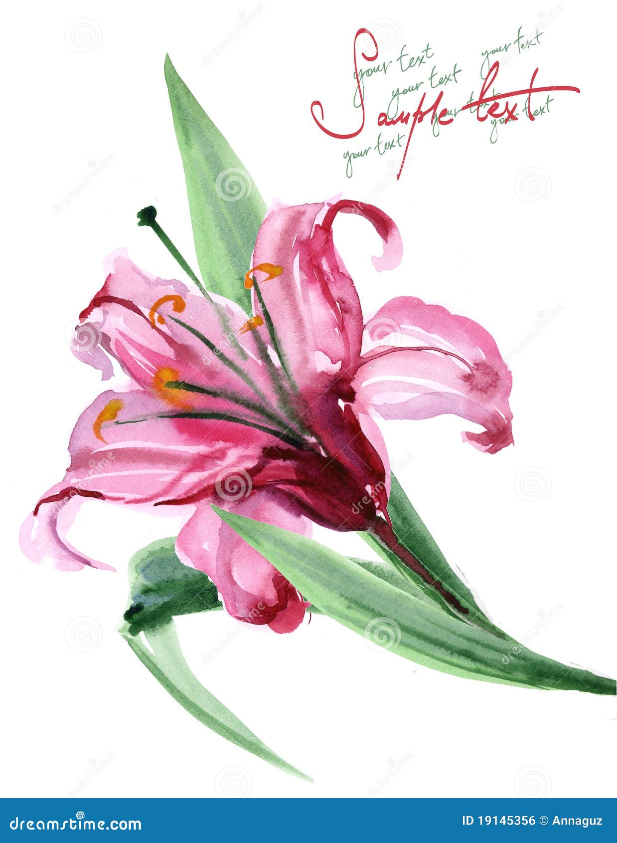 Flores De La Acuarela Imagen de archivo libre de regalías - Imagen ...