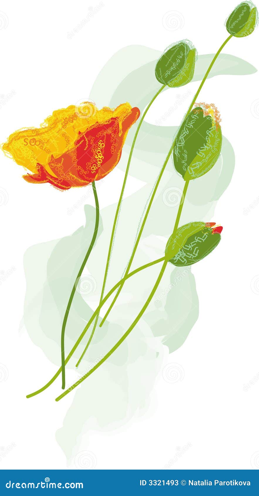 Flores De La Amapola - Vector Ilustración del Vector - Ilustración de ...