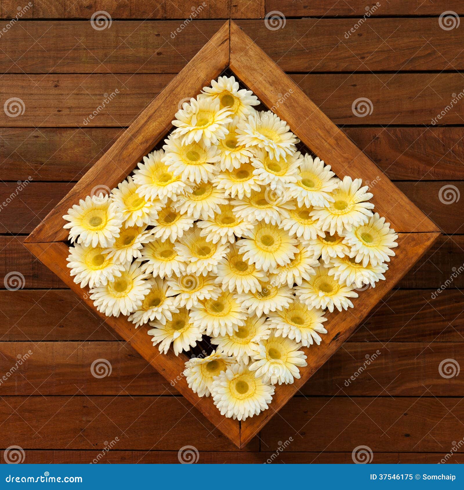 Flores De La Primavera En La Madera Imagen de archivo - Imagen de prado ...