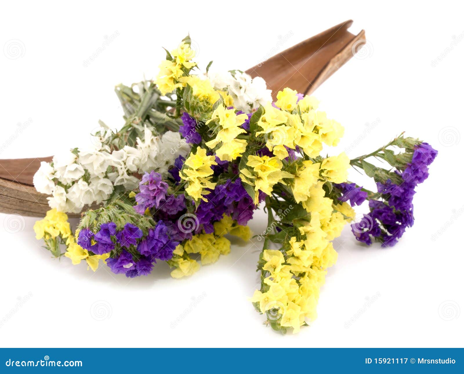 Flores De Statice - Limonium Sinuatum Imagen de archivo - Imagen de ...