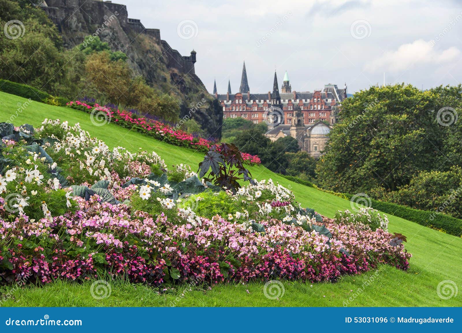 Flores Del Castillo De Edimburgo Foto de archivo - Imagen de escocia ...