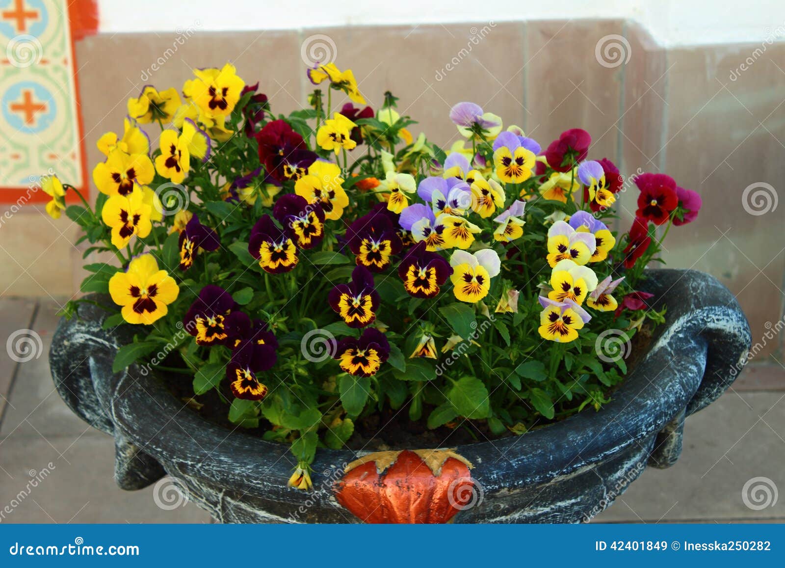 Flores Do Amor Perfeito Em Uma Rua Do Vaso Imagem de Stock - Imagem de ...