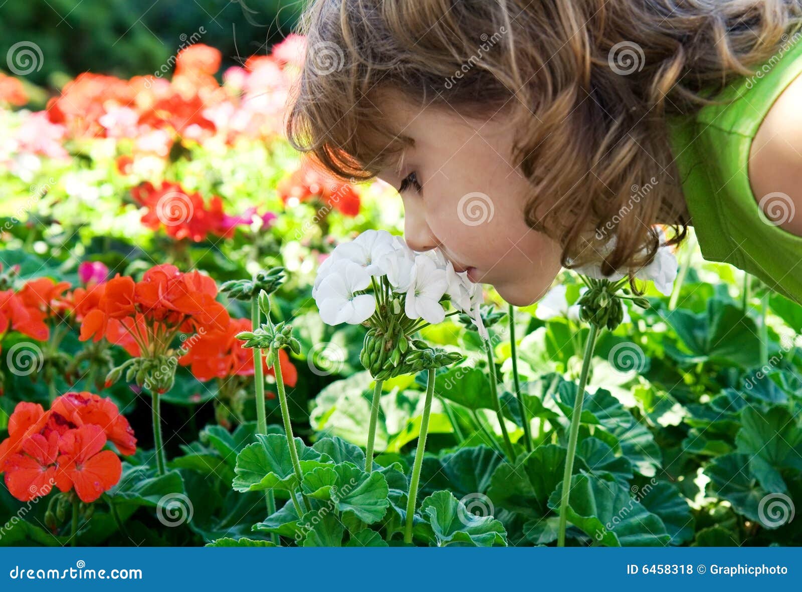 Flores el oler foto de archivo. Imagen de lindo, joven - 6458318