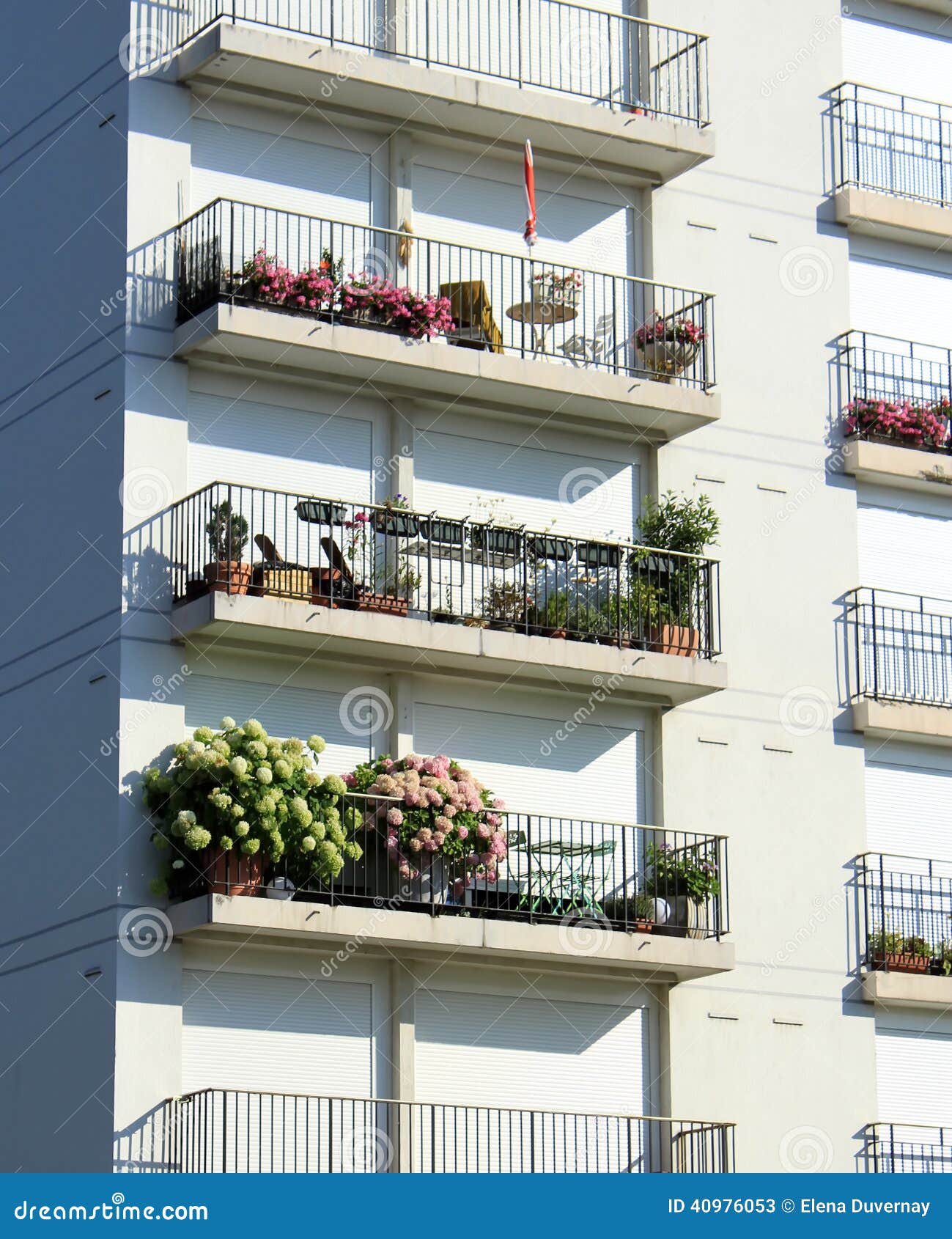 Flores en los balcones imagen de archivo. Imagen de flor - 40976053