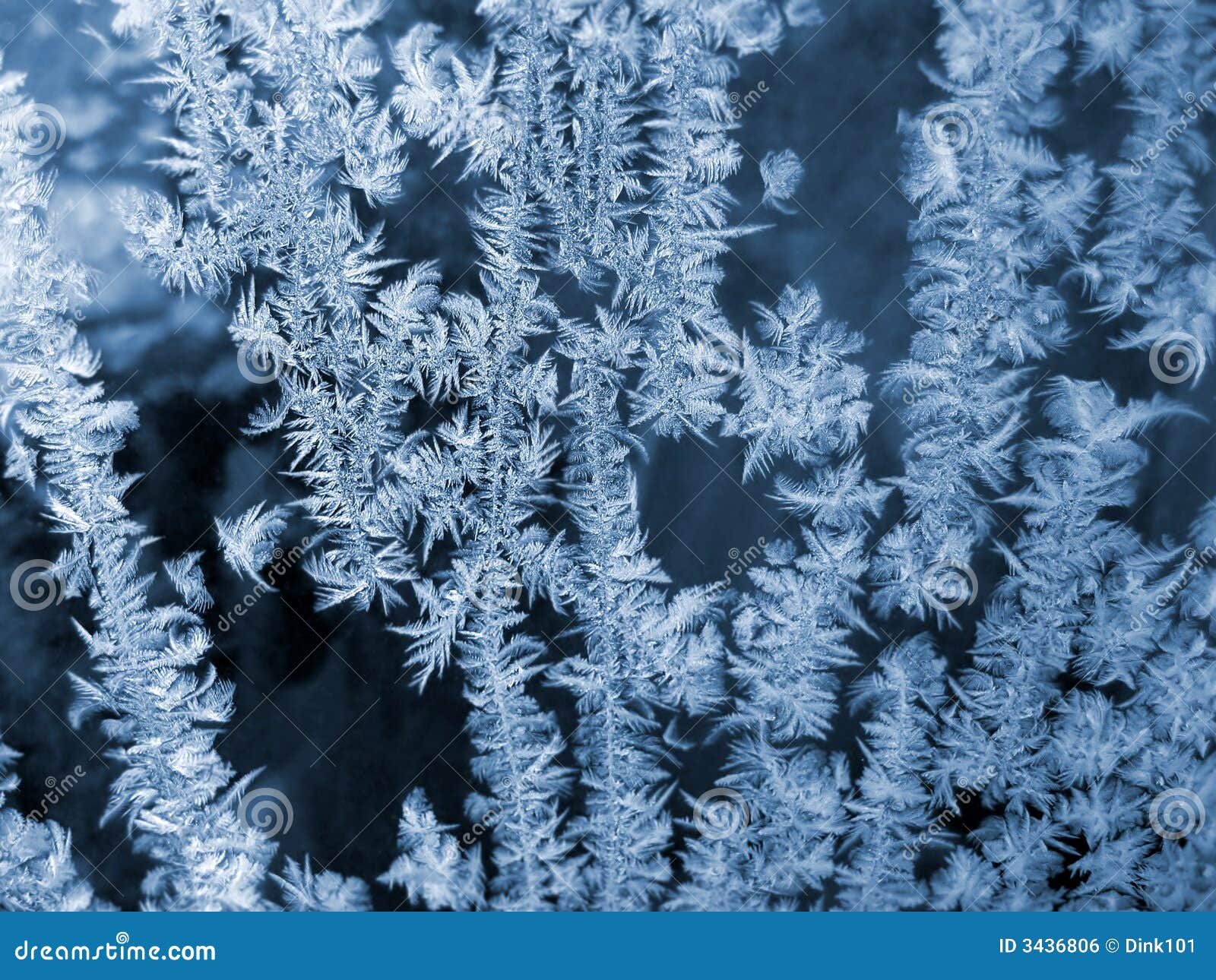 Flores Heladas De La Helada Sobre Un Vidrio Foto de archivo - Imagen de ...