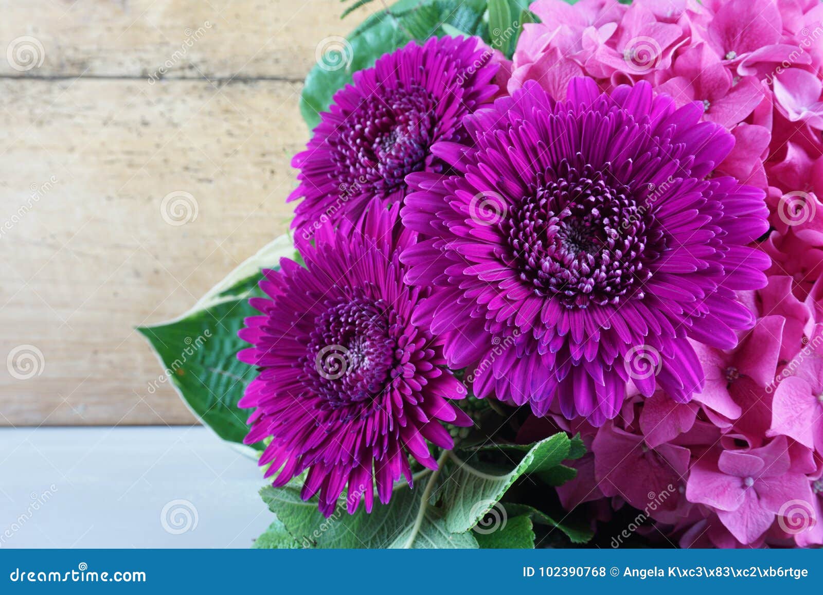 Flores No Roxo Da Cor Com Folhas Verdes Foto de Stock - Imagem de ...