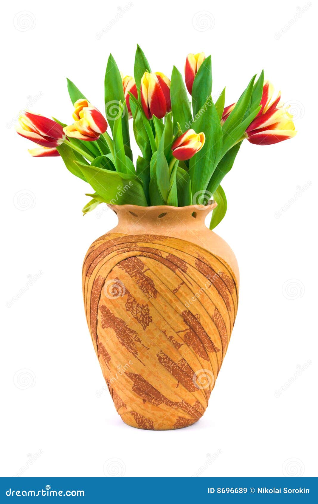 Flores no vaso imagem de stock. Imagem de flor, amor, vidro - 8696689