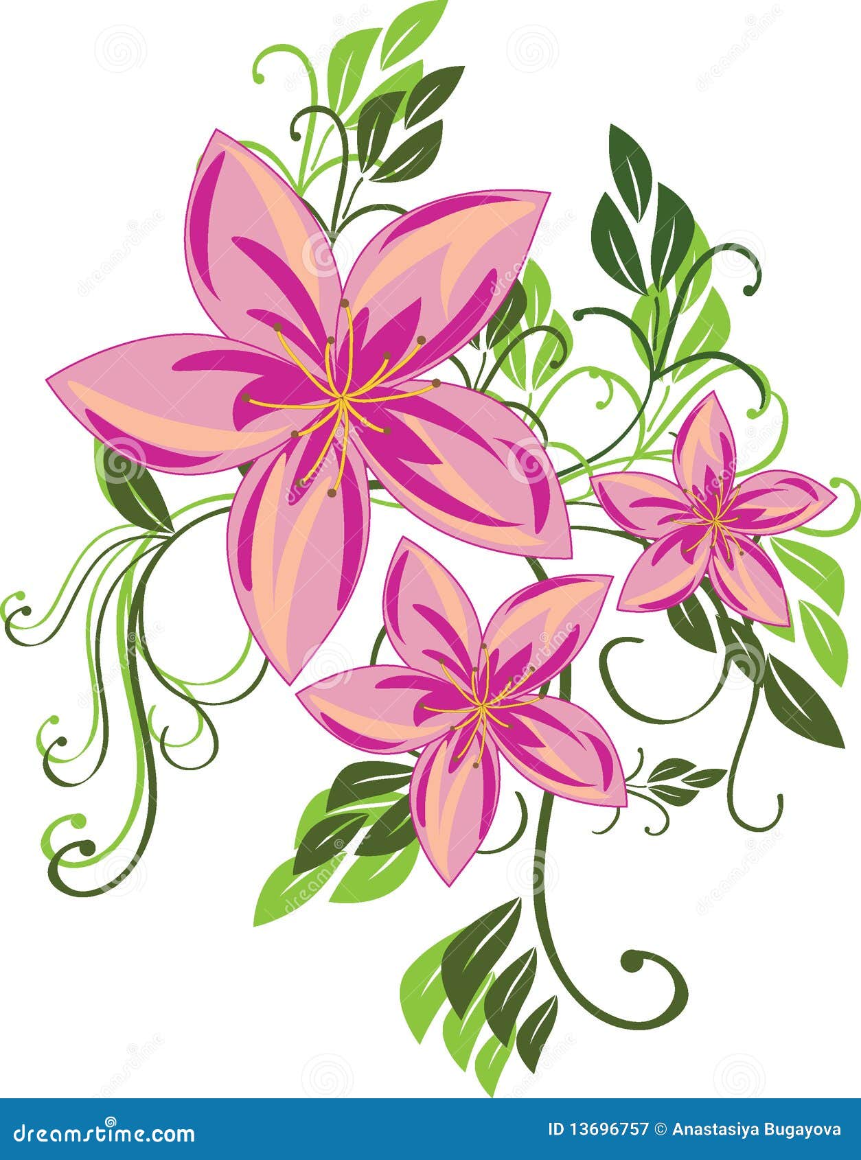 Flores rosadas ilustración del vector. Ilustración de aislante - 13696757