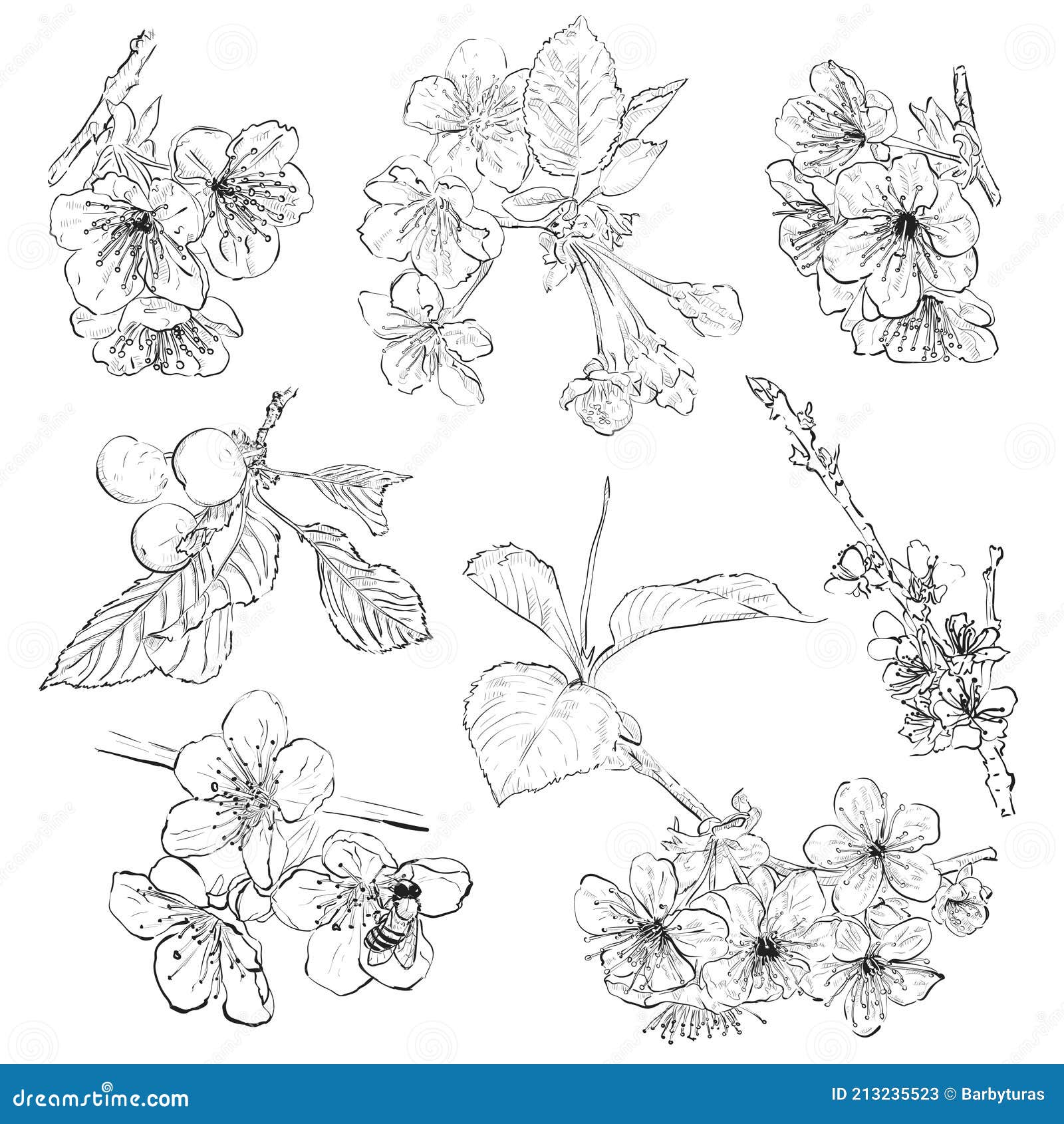 Flores Sakura Flor Conjunto Mano Dibujado Línea Tinta Estilo Lindo
