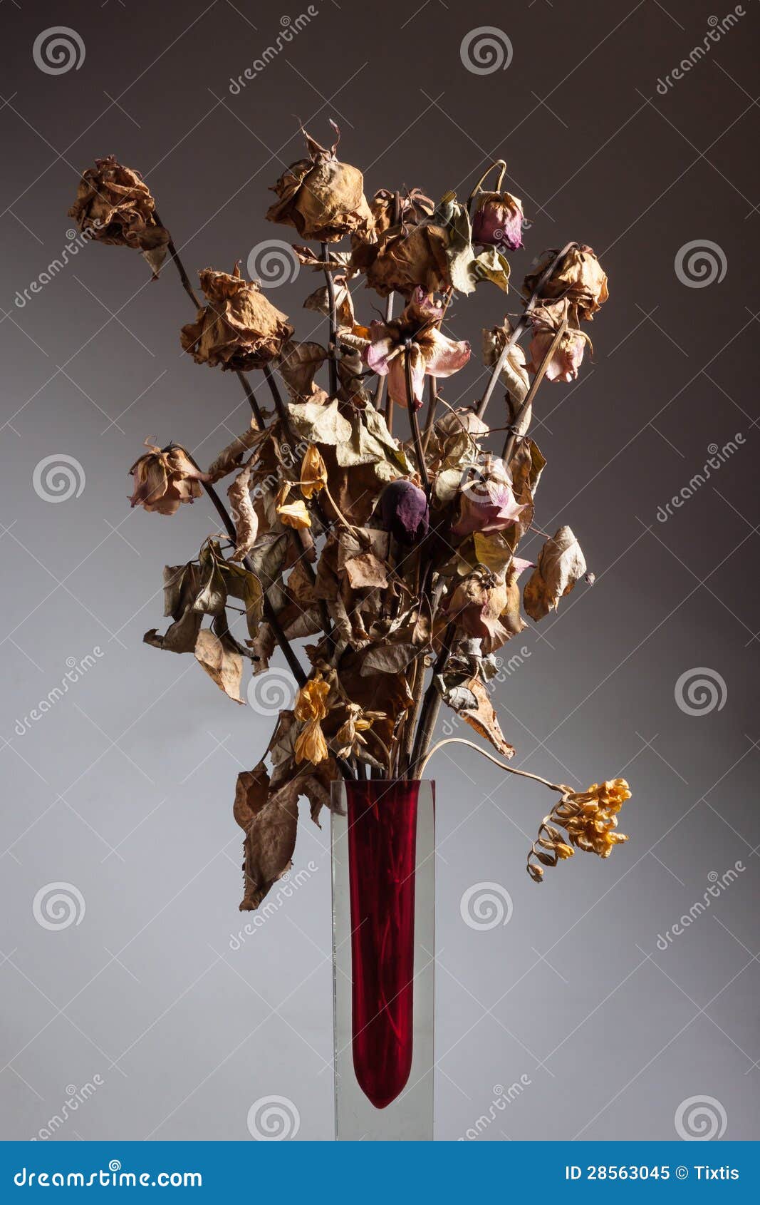 Flores secas en un florero imagen de archivo. Imagen de florero - 28563045