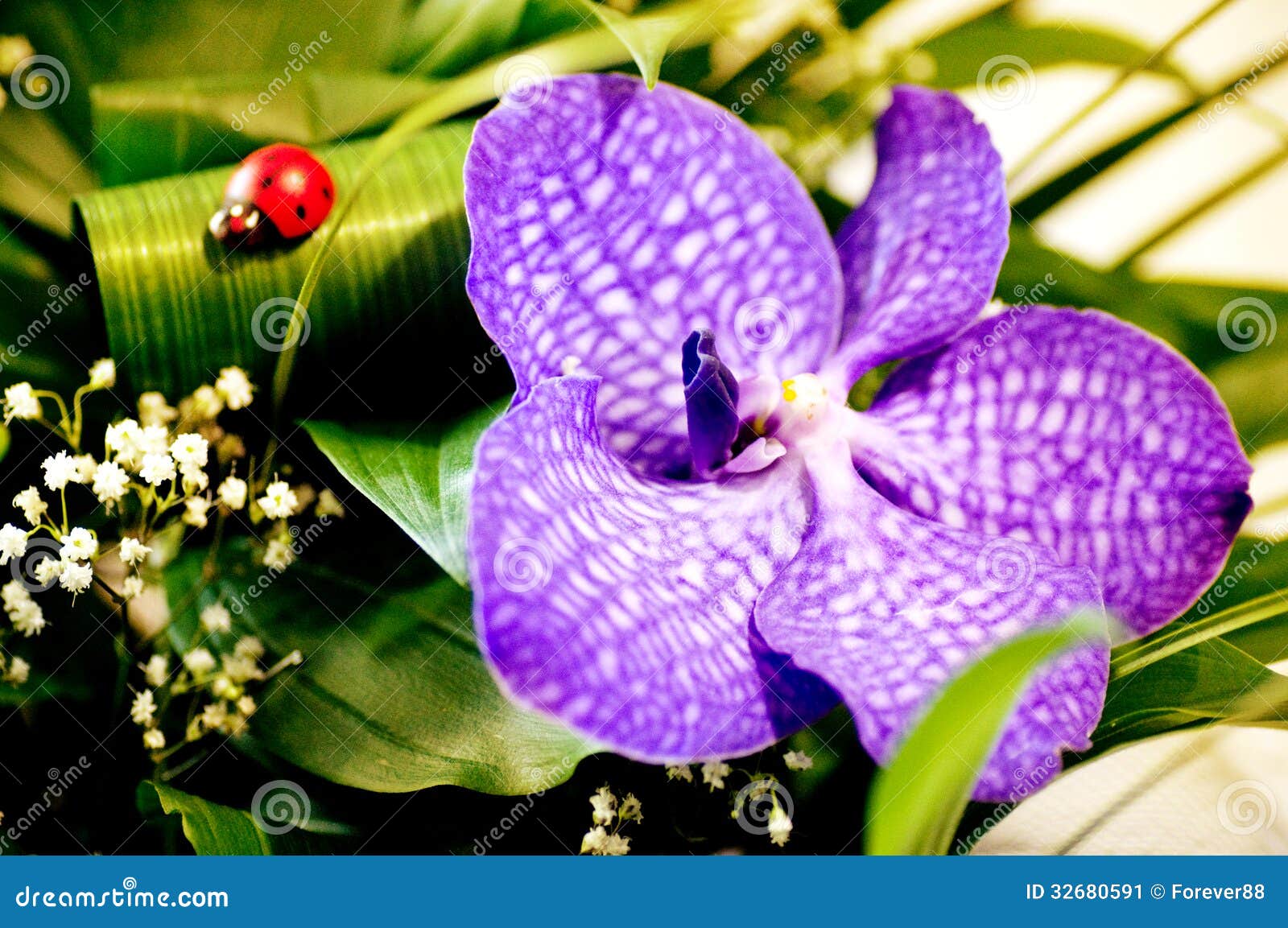 Flores violetas hermosas imagen de archivo. Imagen de ramo - 32680591