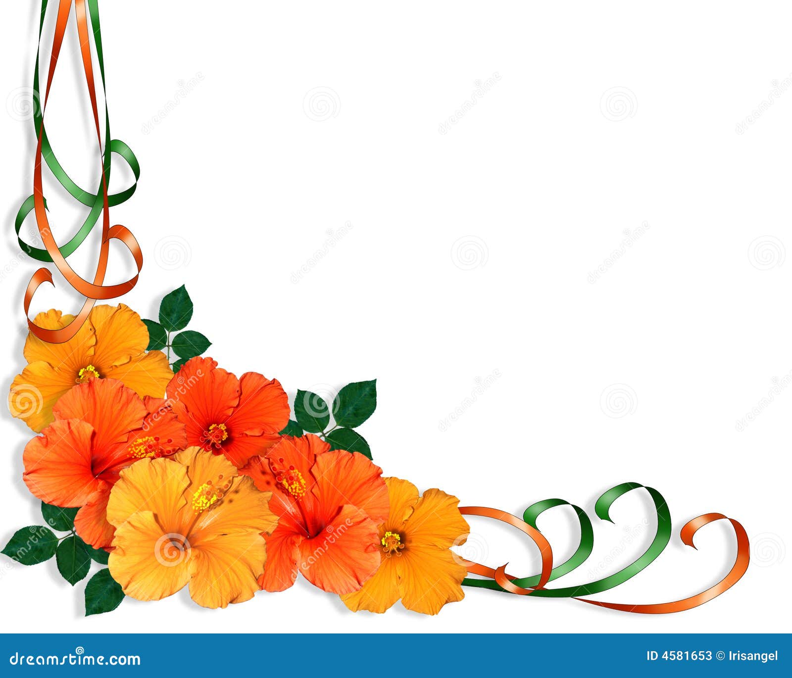 Flores Y Cintas Del Hibisco Stock de ilustración - Ilustración de flor ...