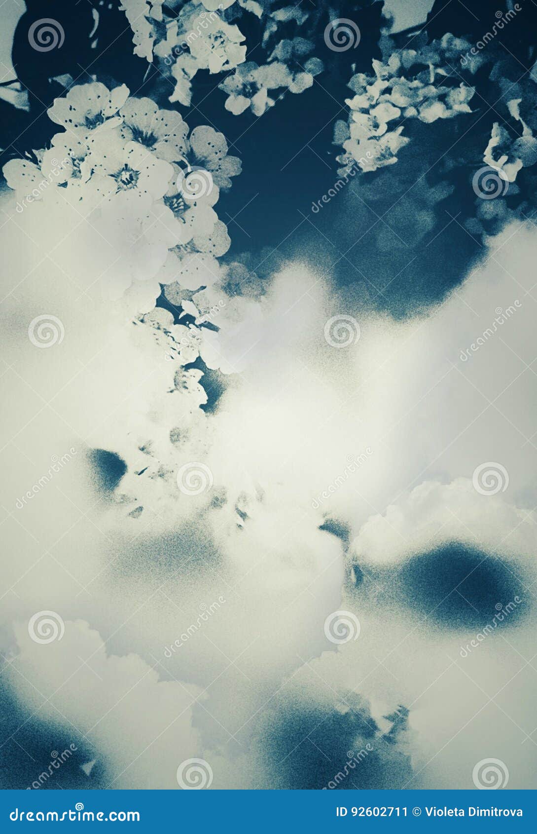 Flores y nubes imagen de archivo. Imagen de blanco, flores - 92602711