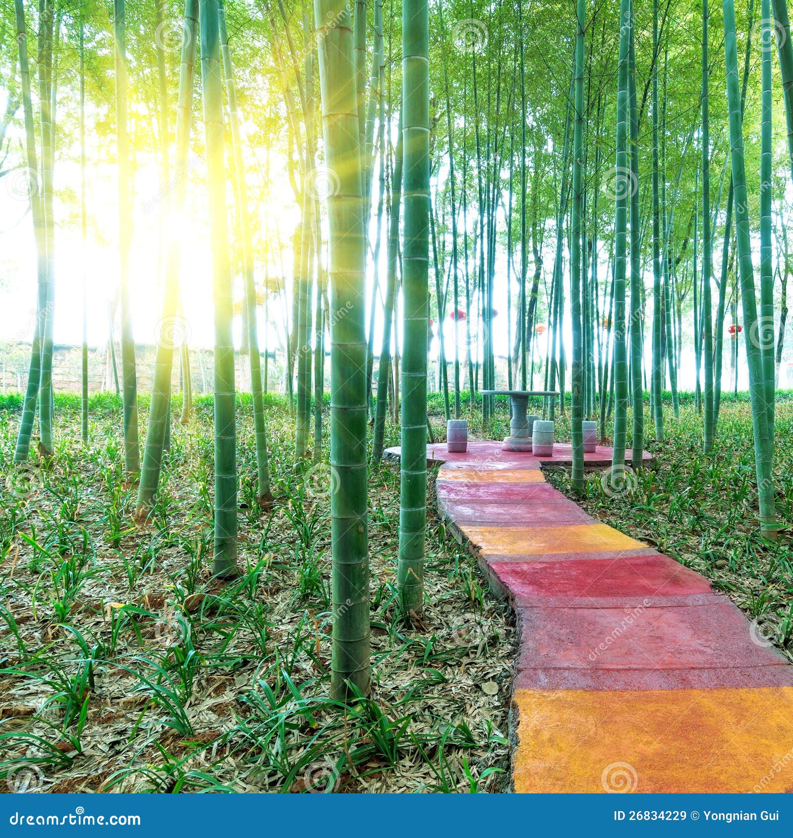 FLORESTA DE BAMBU Por China Imagem de Stock - Imagem de marrom, raso ...