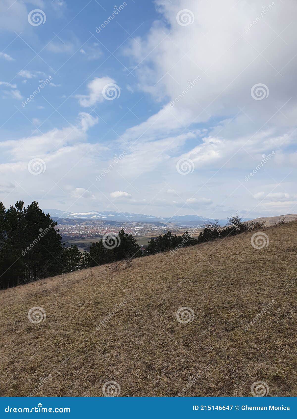 Floresta Hoia baciu imagem de stock. Imagem de grama - 215146647