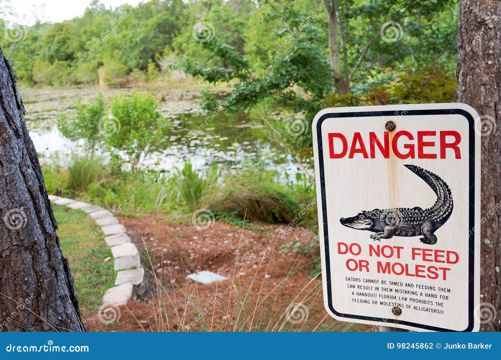 Florida Alligator Warning Sign Stock Photo - Image of attention, nature ...