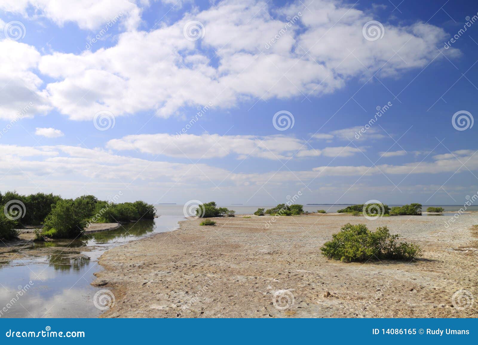 Florida Bay - 2 stock image. Image of shore, peace, nature - 14086165