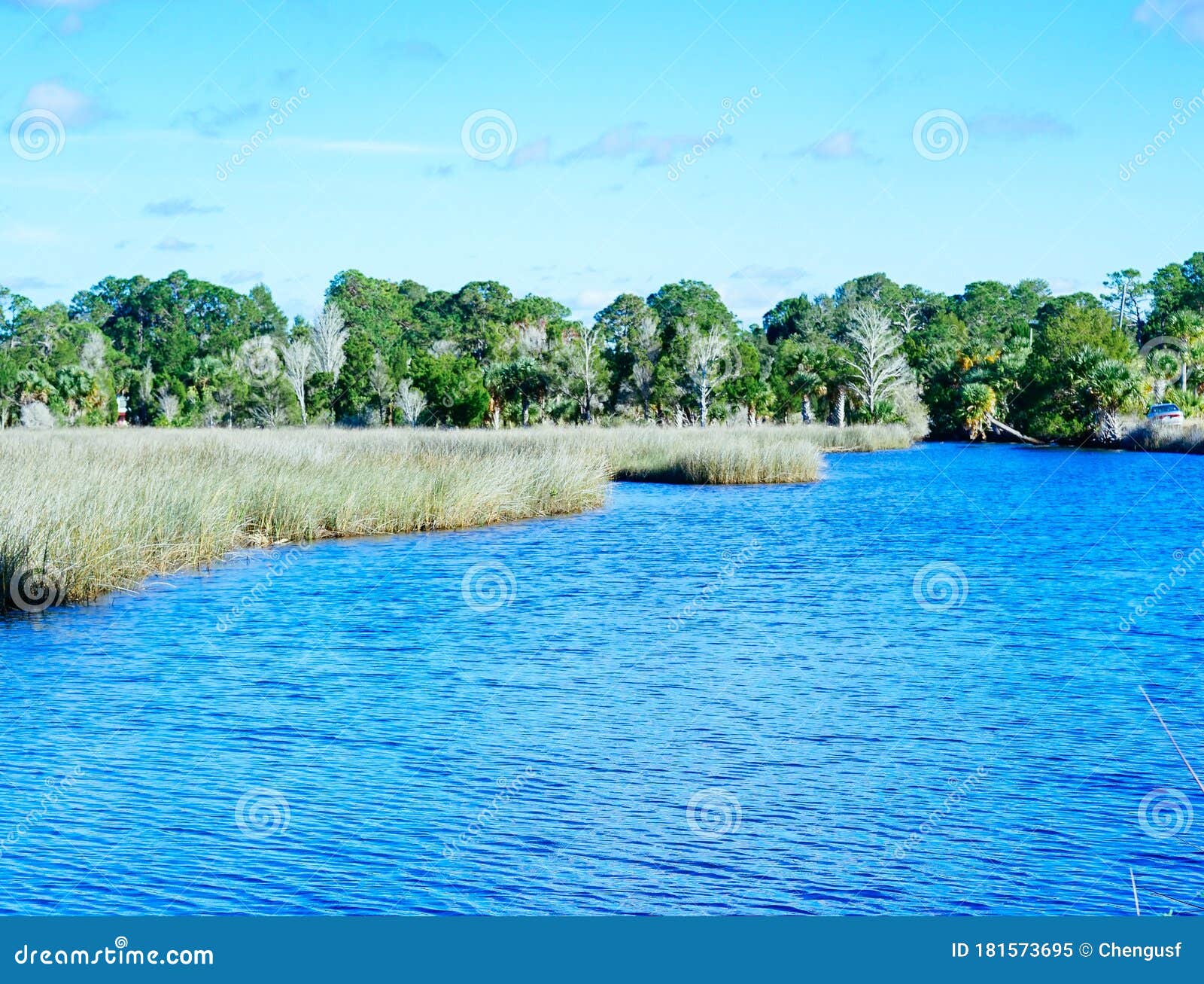 Florida beach and swamp stock image. Image of boat, color - 181573695