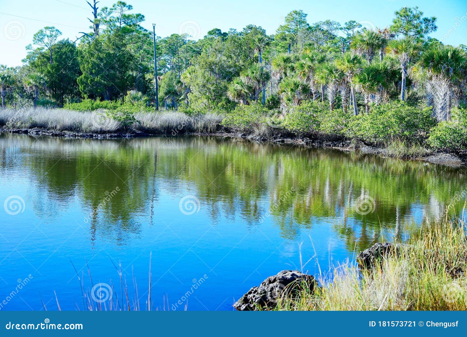 Florida beach and swamp stock image. Image of apartment - 181573721