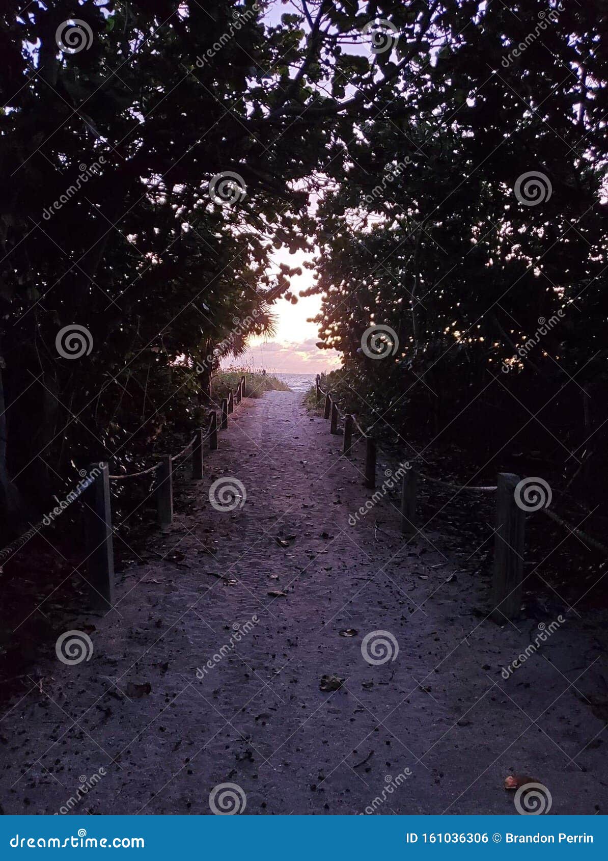 Florida beach path stock photo. Image of walk, sunset - 161036306
