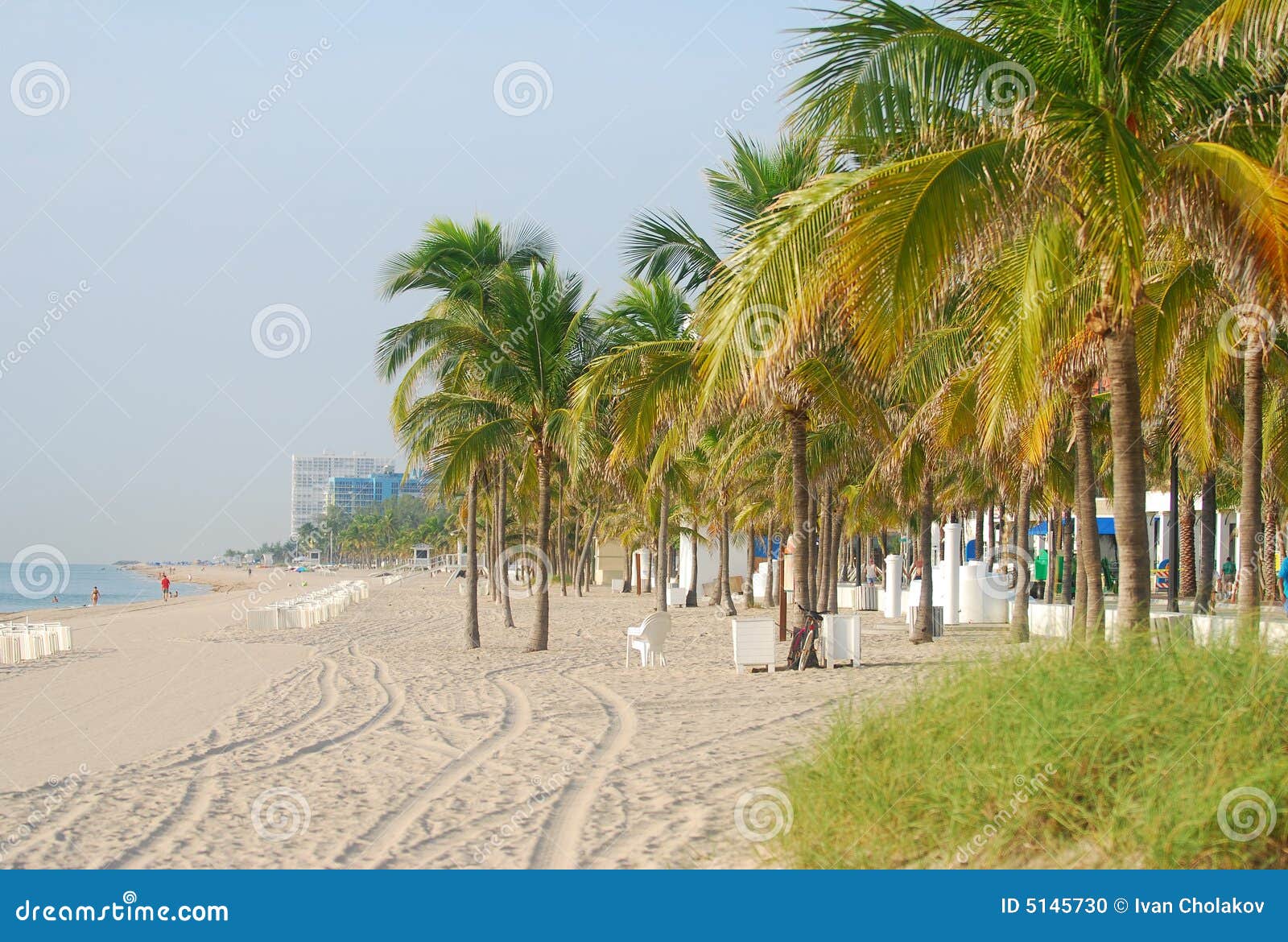 Florida beach scenery stock photo. Image of lesuire, beach - 5145730