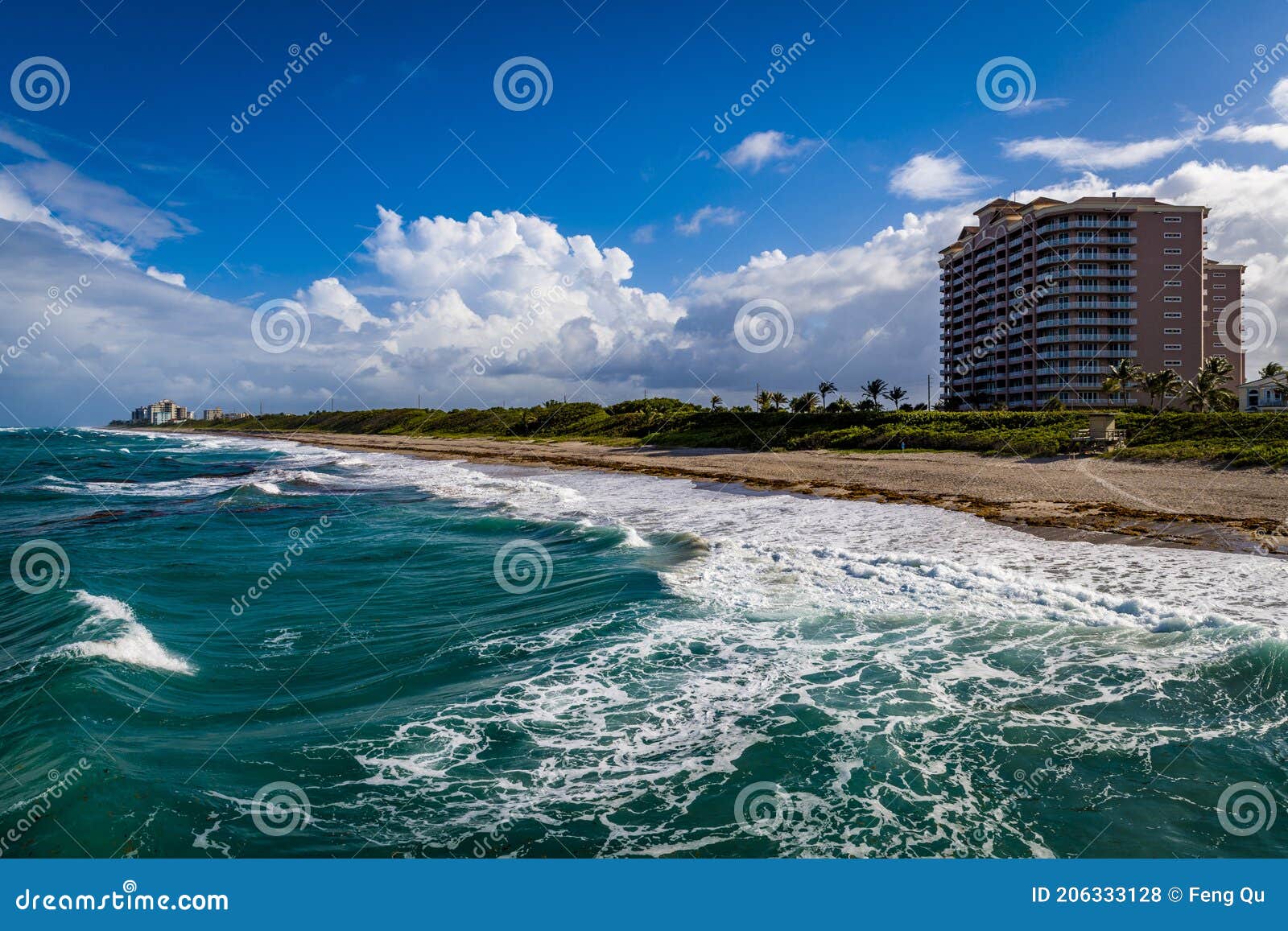 Florida Beach View stock photo. Image of florida, park - 206333128