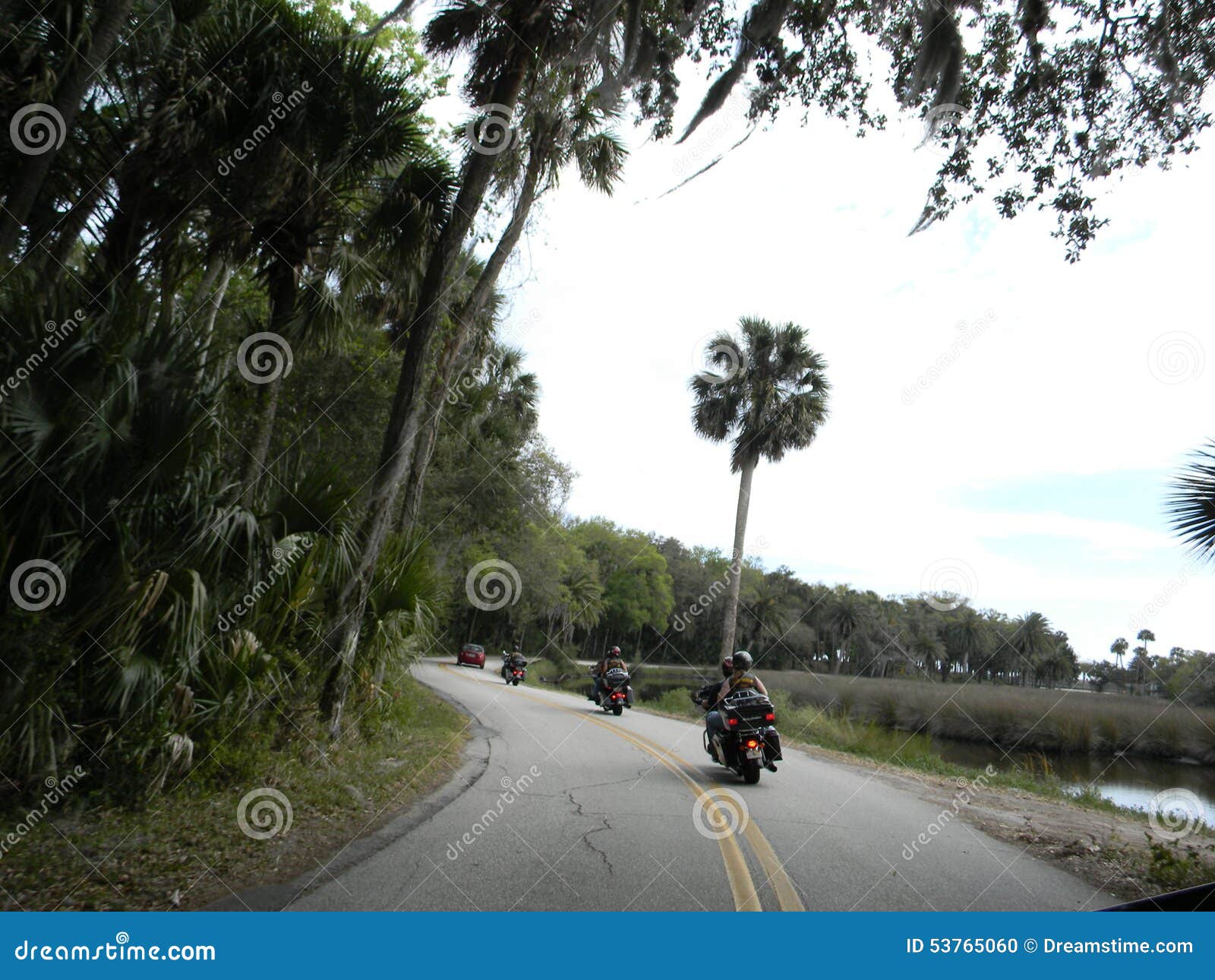 Florida Bikers on the Back Roads Stock Photo - Image of back, bikers ...