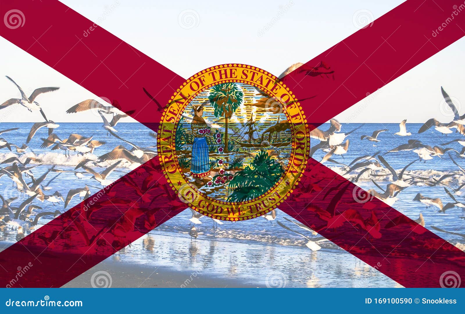 Florida Flag with gulls stock photo. Image of emblem - 169100590
