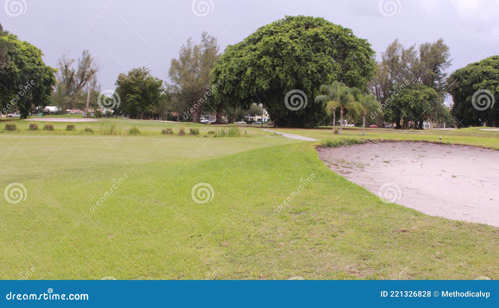 Florida Golf Course - Sand Trap Stock Photo - Image of sport, trap ...