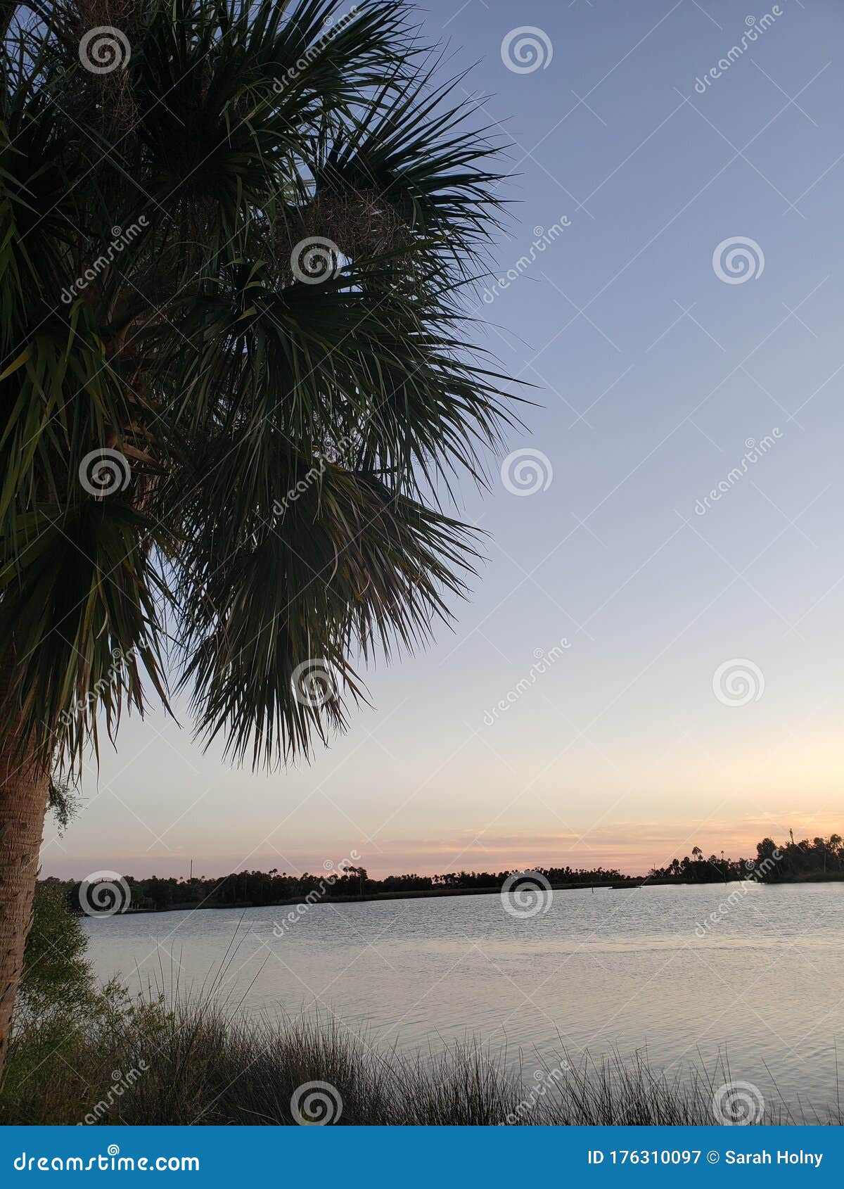 Florida Gulf Beach Marsh Wildlife Preserve Sunset Stock Image - Image ...