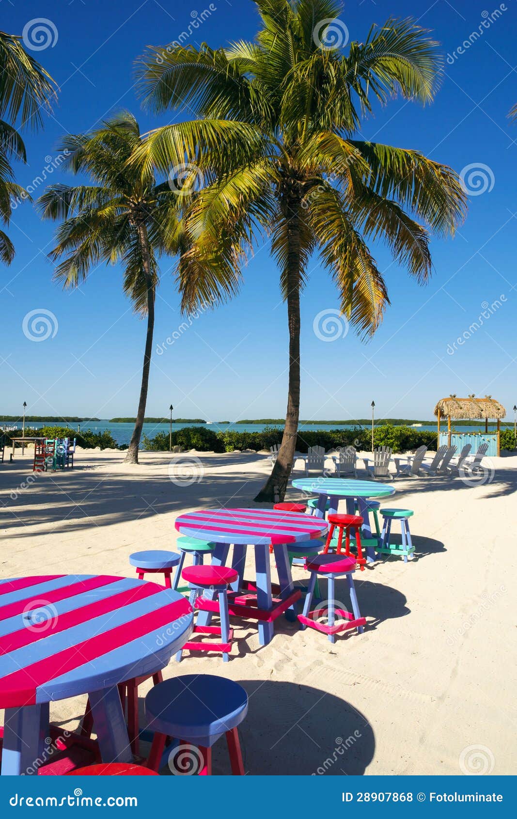 Florida Keys stock photo. Image of horizon, coconut, nature - 28907868