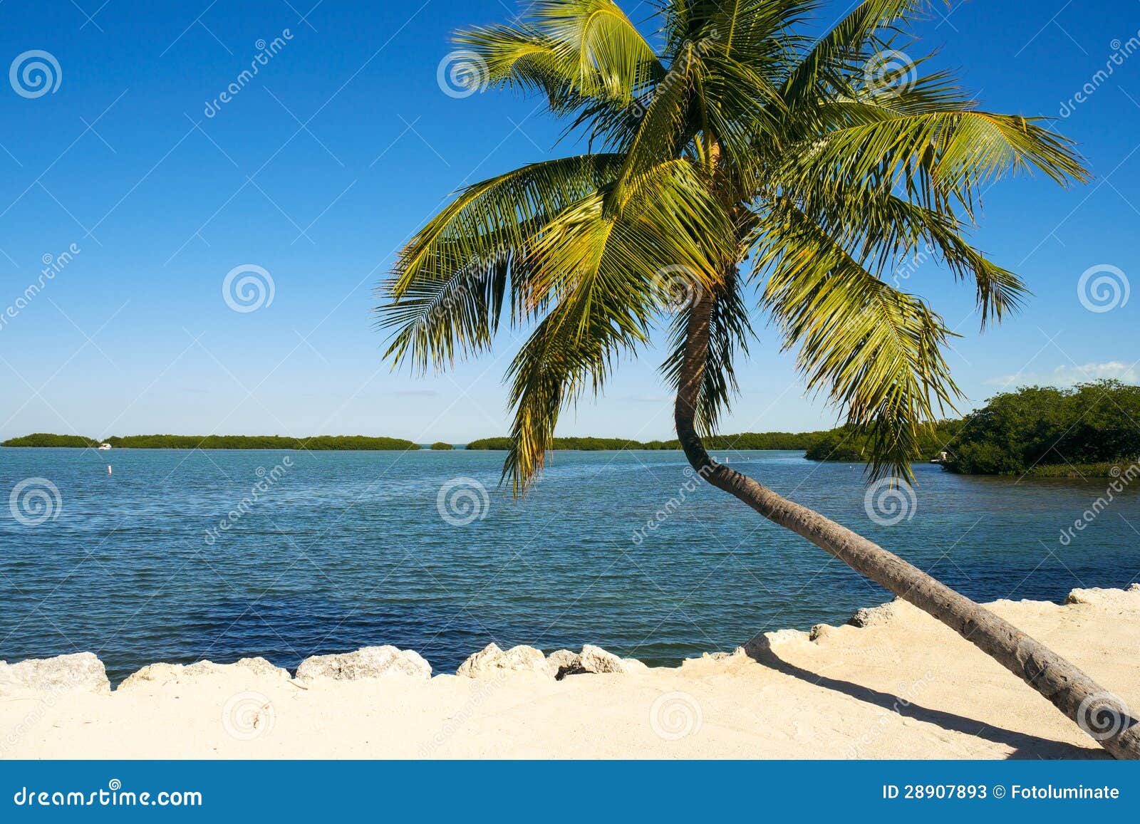 Florida Keys stock image. Image of relaxation, natural - 28907893