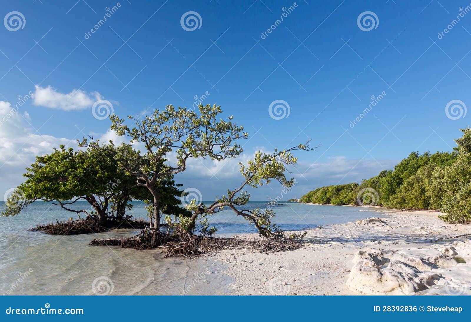 Florida Keys Anne s Beach stock photo. Image of horizon - 28392836