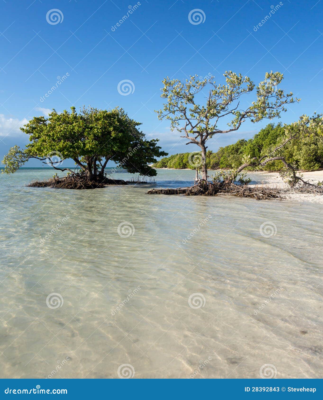 Florida Keys Anne s Beach stock image. Image of route - 28392843