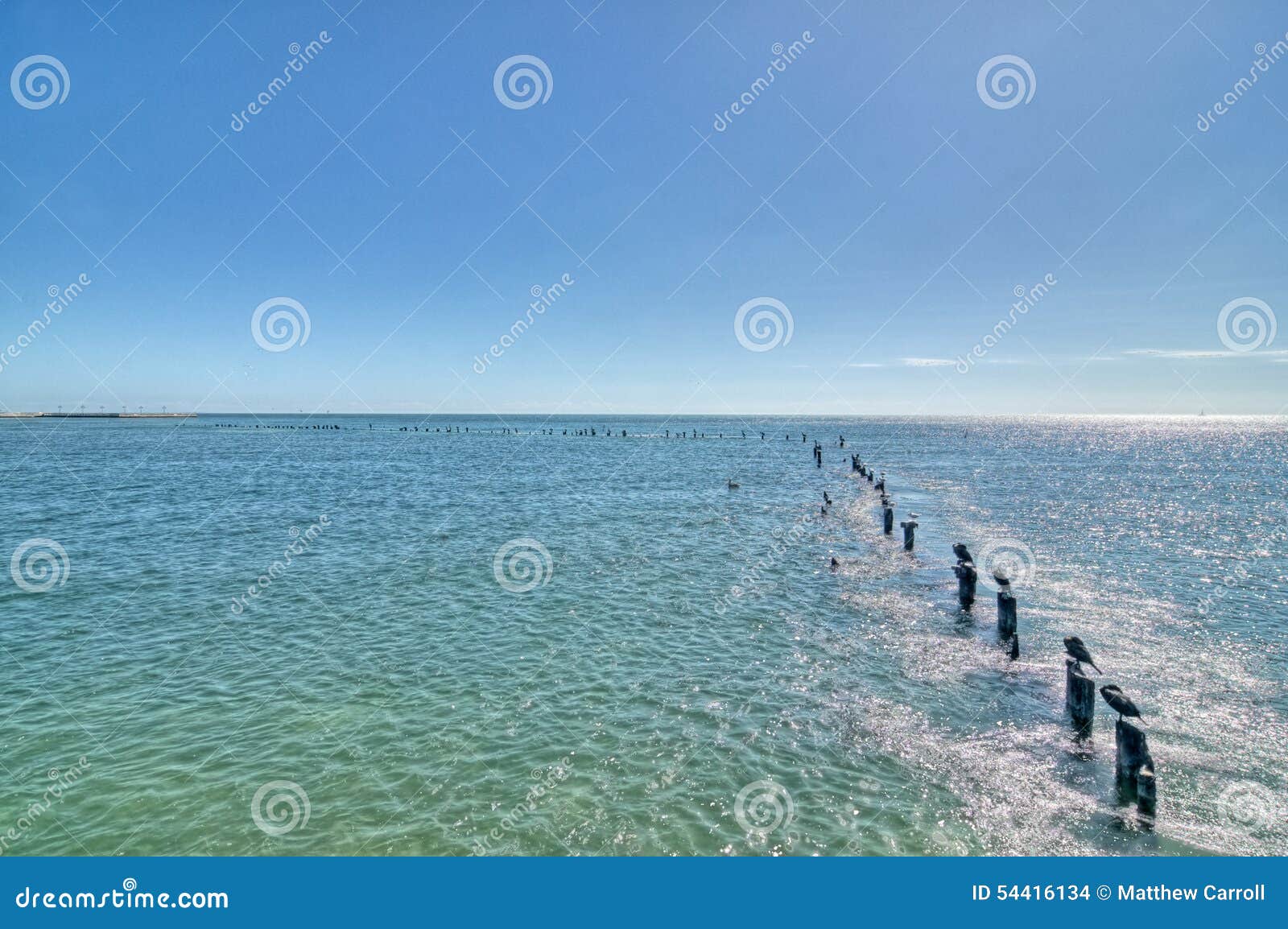 Florida Keys stock photo. Image of beach, tropical, summer - 54416134