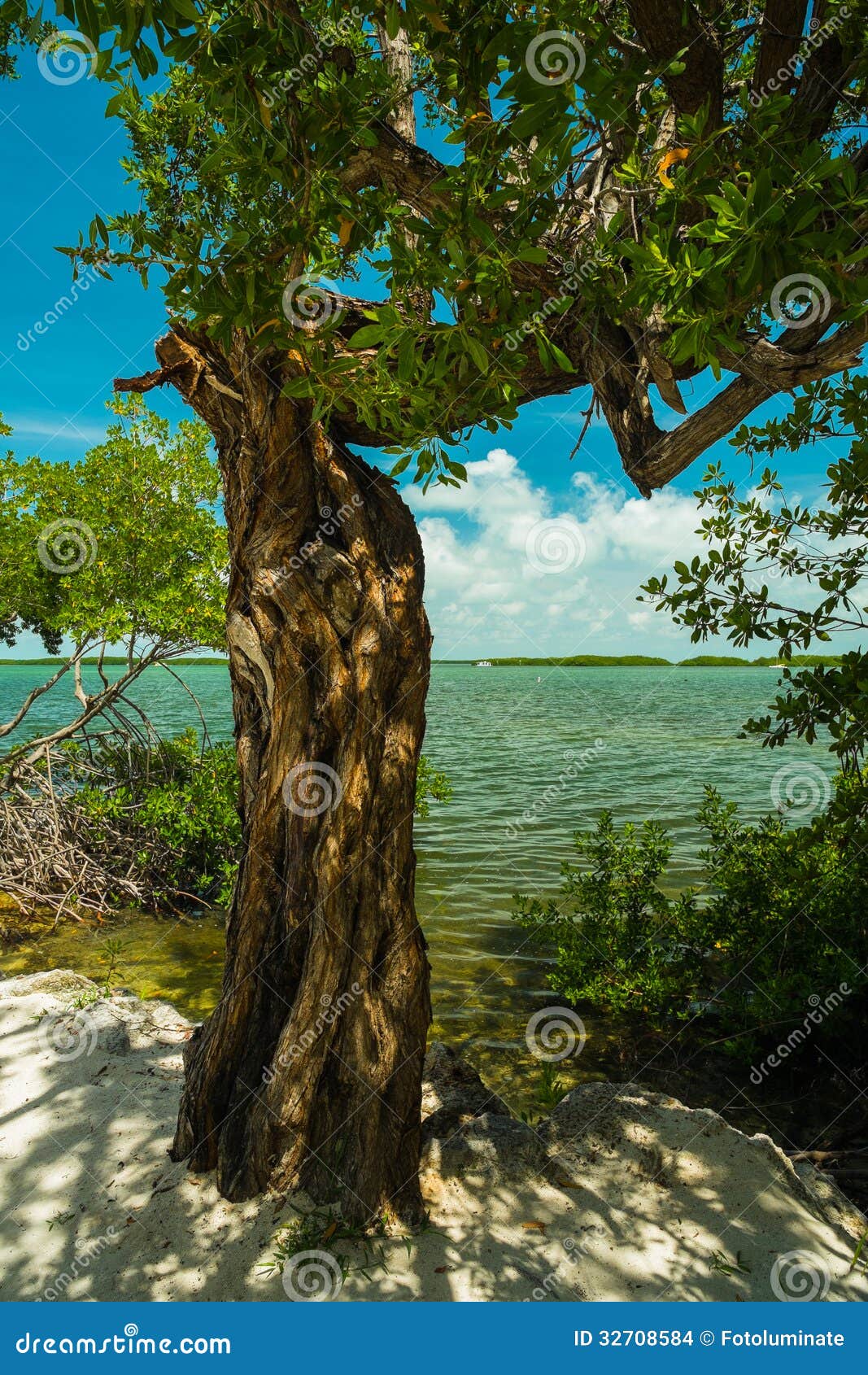 Florida Keys stock photo. Image of pretty, landscape - 32708584