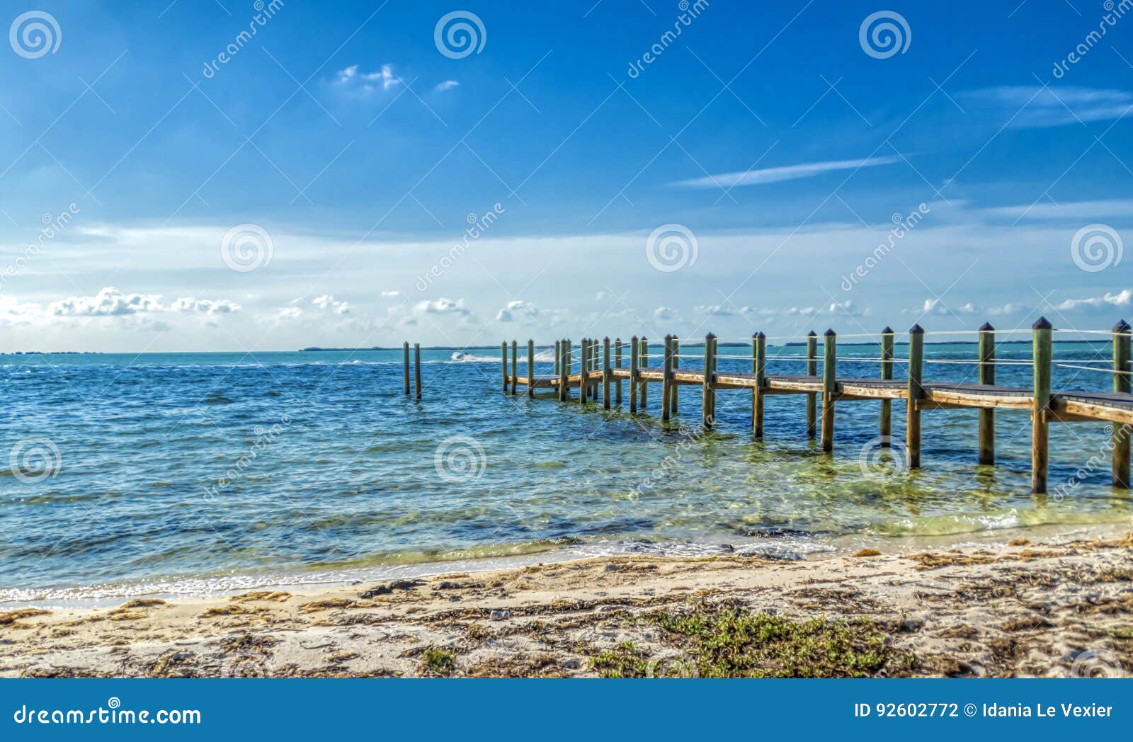 Florida Keys dock stock photo. Image of competition, dock - 92602772