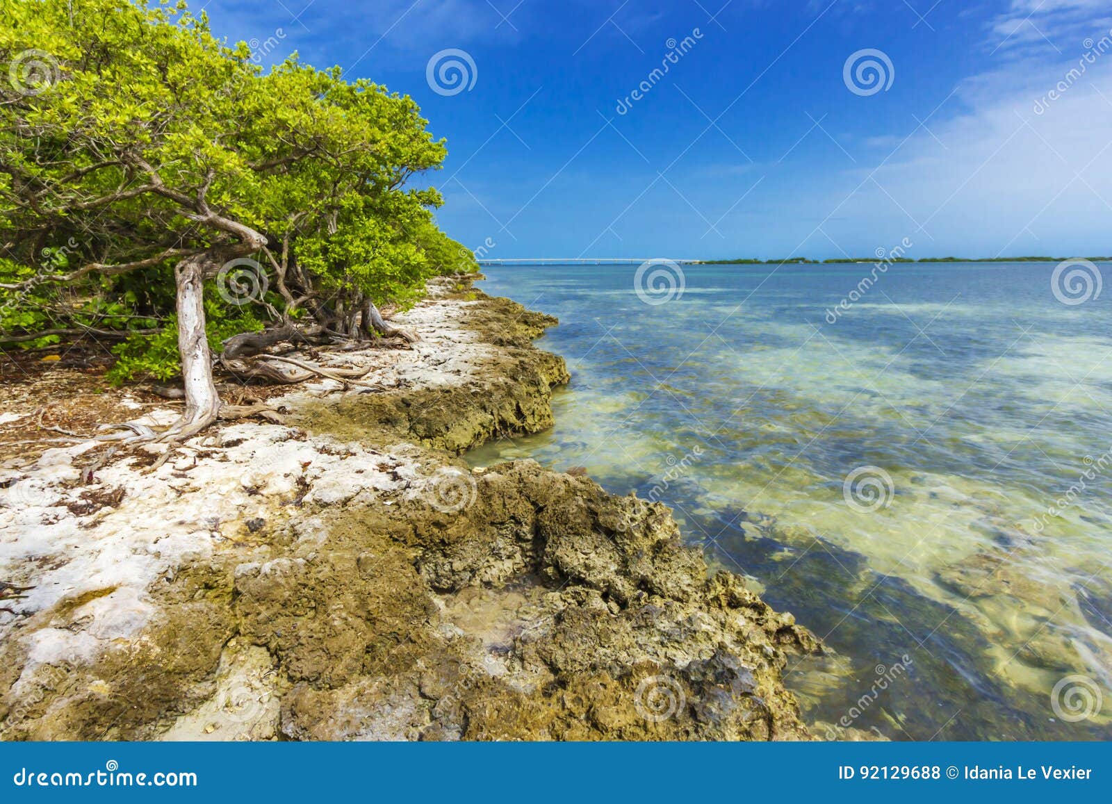 Florida Keys Island stock photo. Image of fish, boating - 92129688