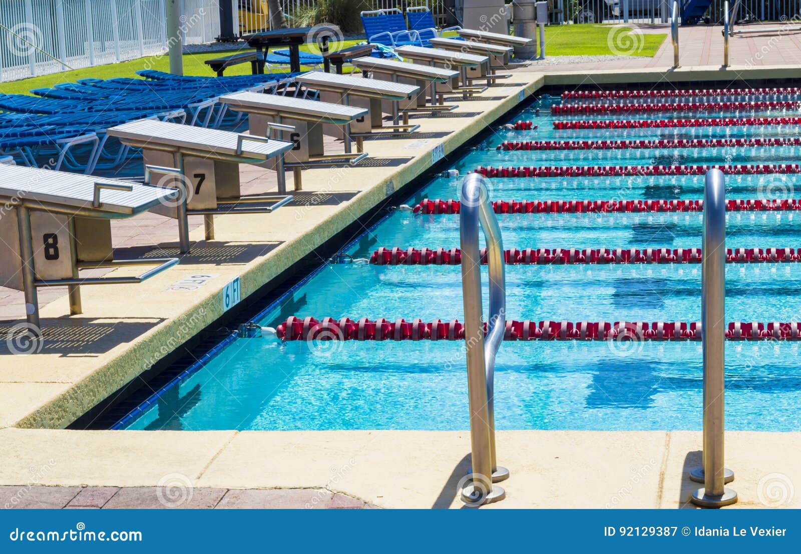 Florida Keys pool stock image. Image of iguana, exotic - 92129387