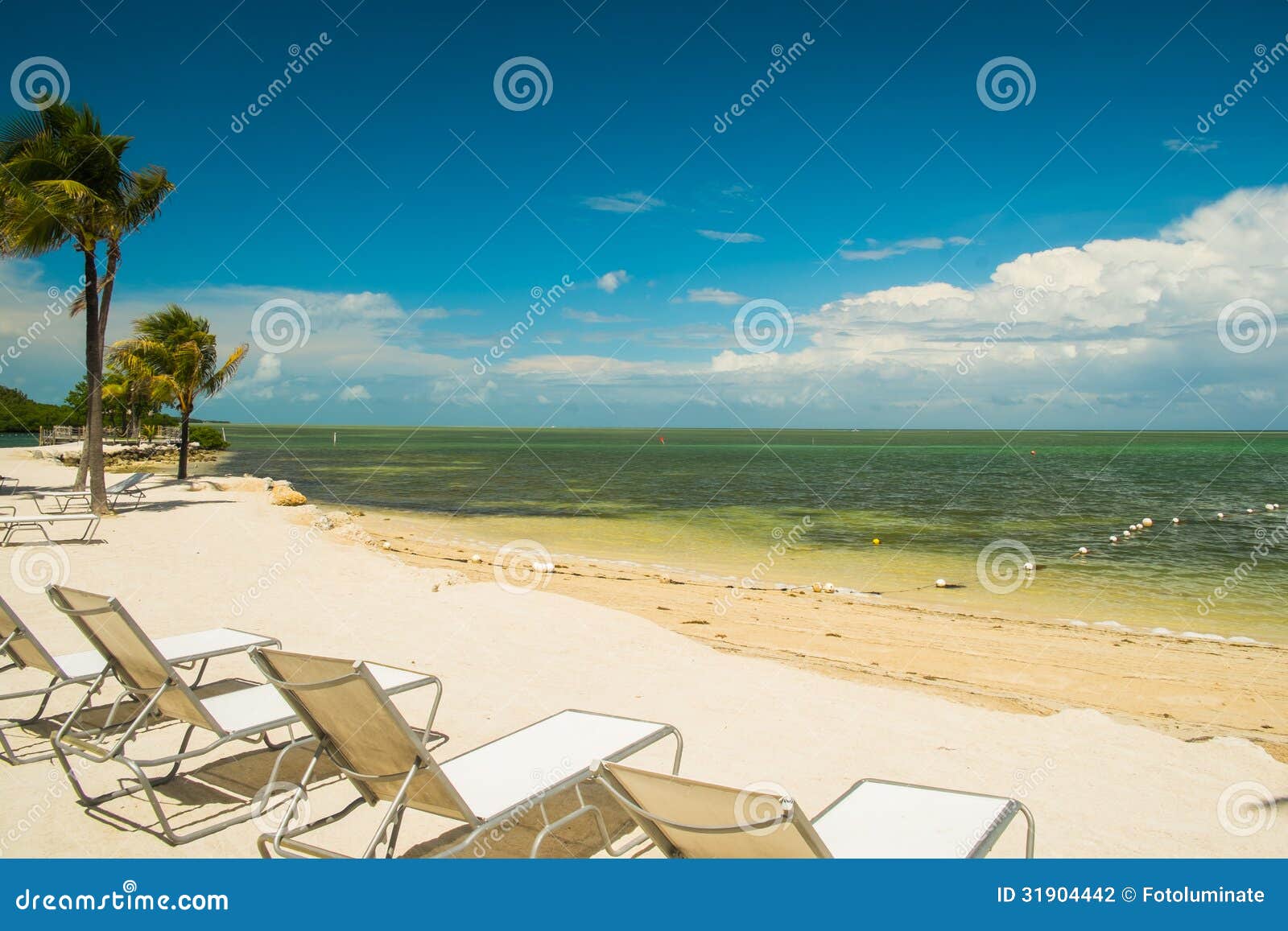 Florida Keys stock photo. Image of palm, leisure, plants - 31904442