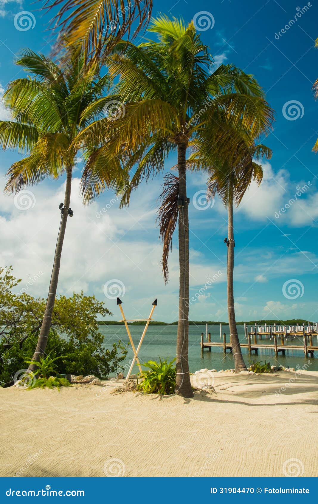 Florida Keys stock photo. Image of outdoor, plants, blue - 31904470