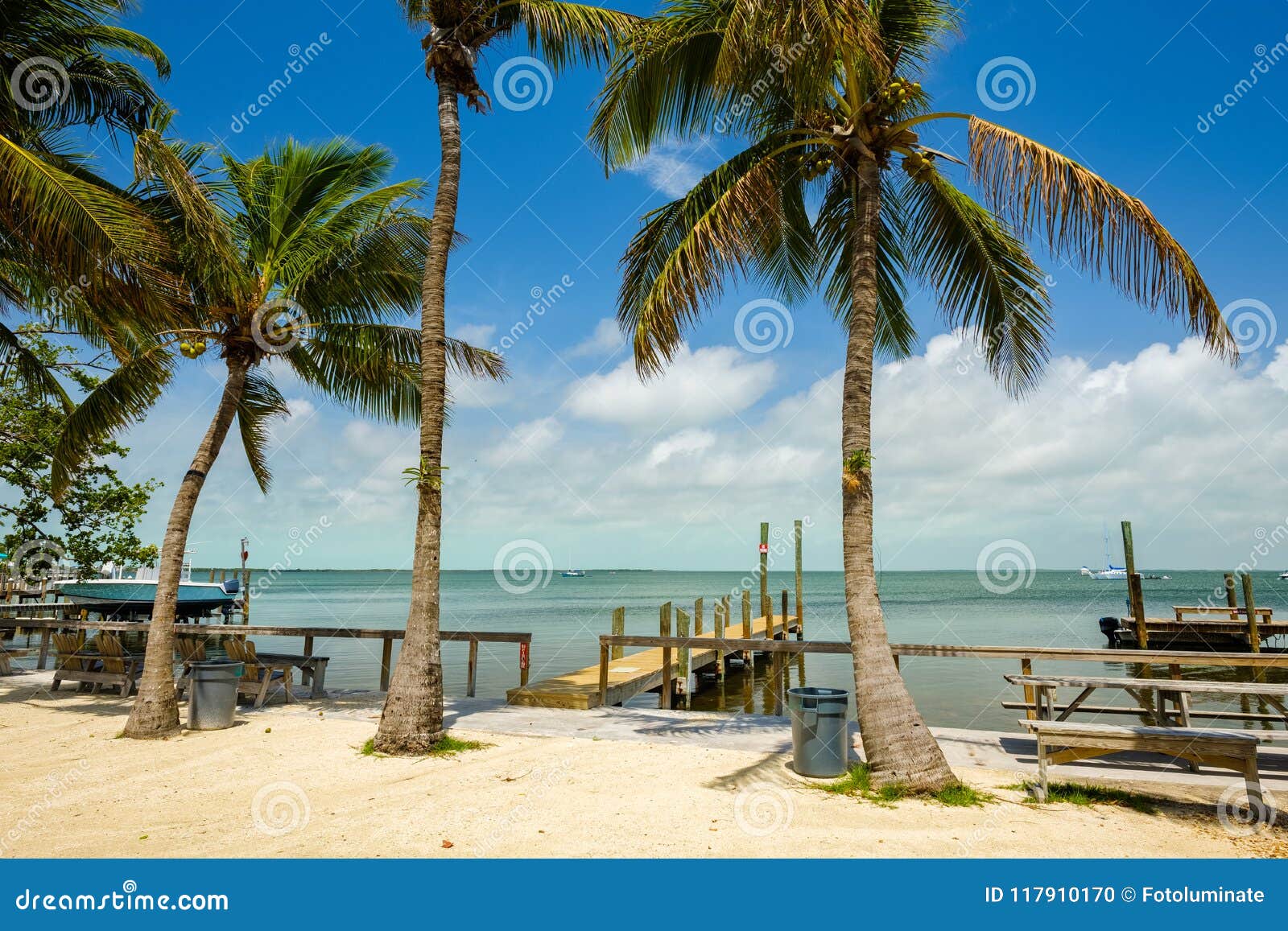 Florida Keys seascape stock photo. Image of palm, coast - 117910170