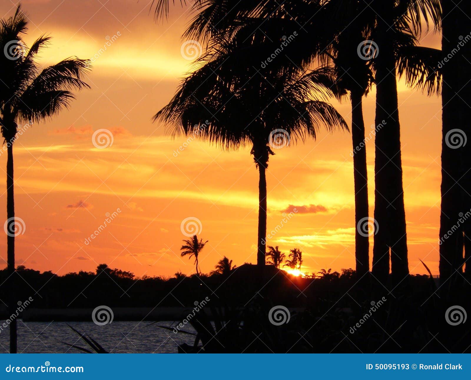 Florida Keys Sunset 1 stock image. Image of florida, keys - 50095193