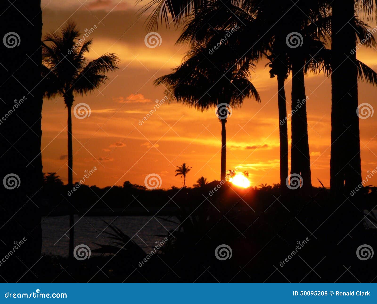 Florida Keys Sunset 4 stock photo. Image of ocean, evening - 50095208