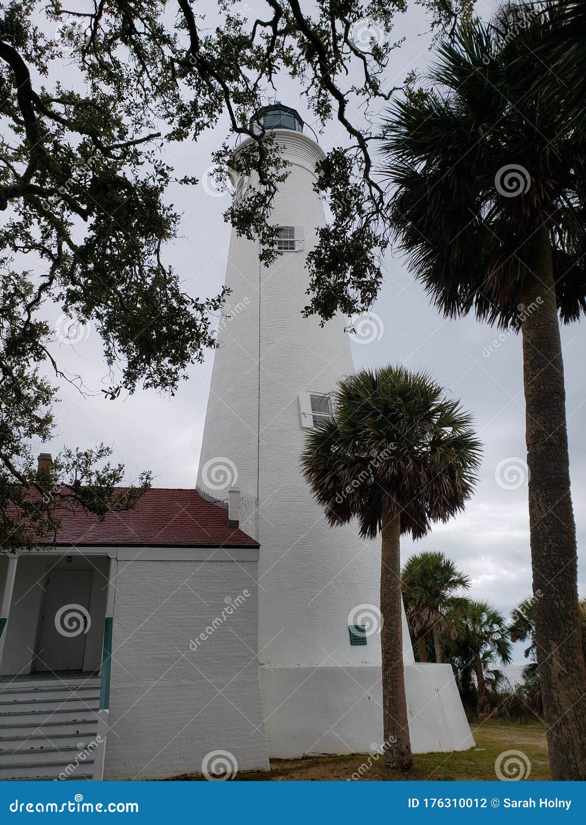 Florida Lighthouse Palm Tree Overcast Stock Photo - Image of florida ...