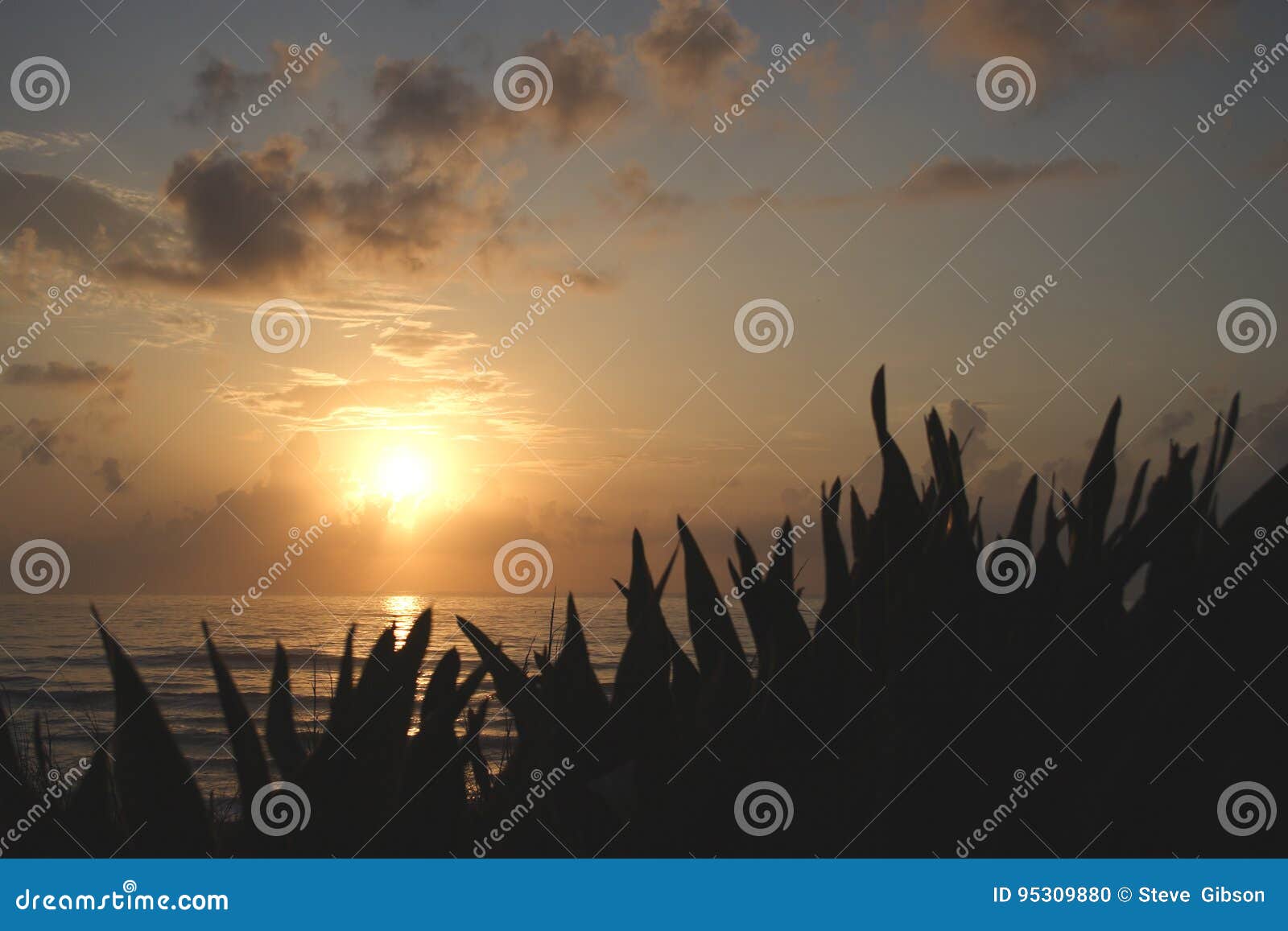 Florida Morning stock photo. Image of wave, water, beach - 95309880