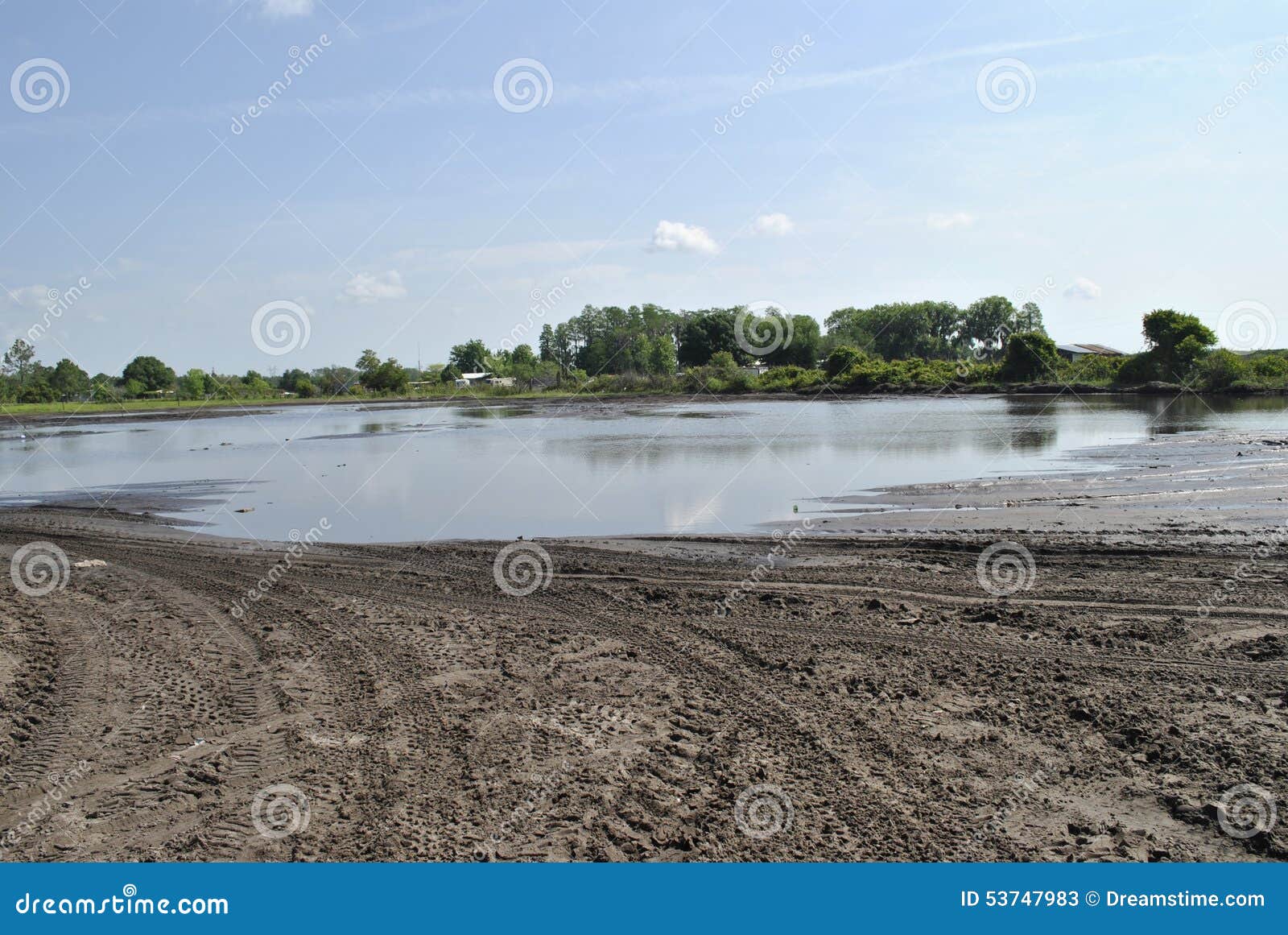 FLORIDA MUD PIT with TRACKS Stock Image - Image of blue, skies: 53747983